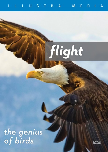 Flight: The Genius of Birds Film | Lee's Birdwatching Adventures Plus