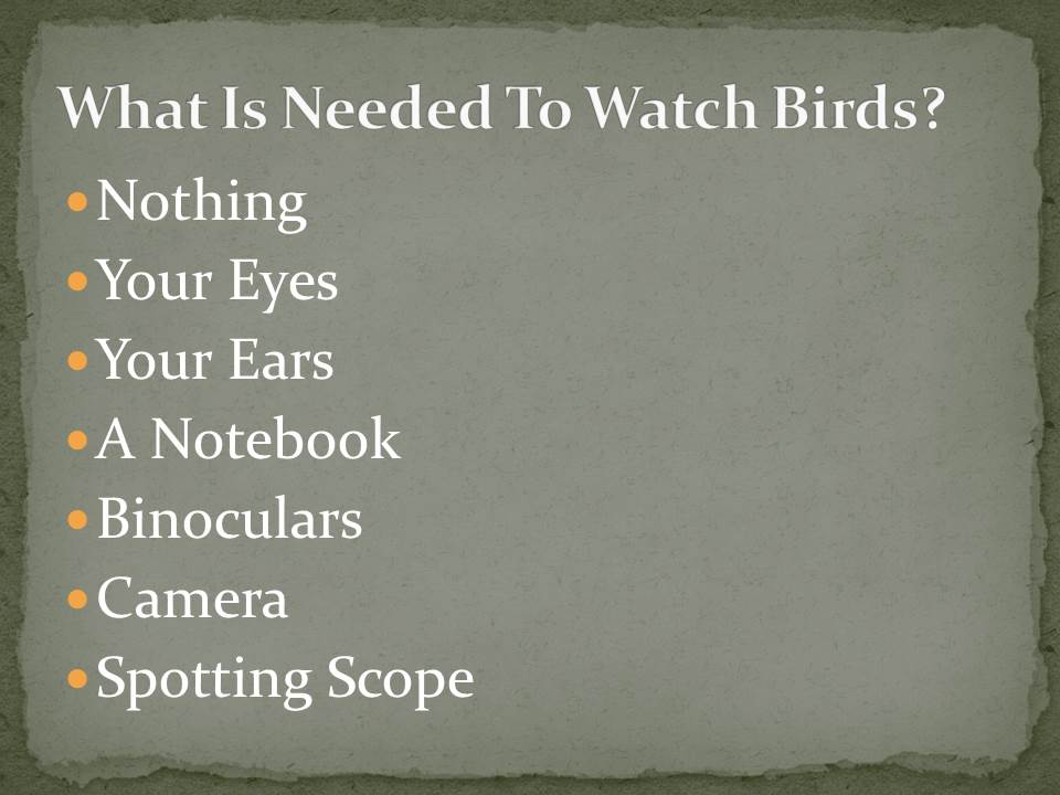 Slides From Birdwatching Lesson | Lee's Birdwatching Adventures Plus