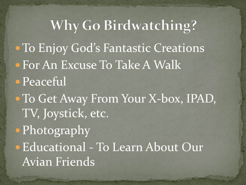 Slides From Birdwatching Lesson | Lee's Birdwatching Adventures Plus