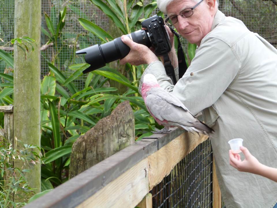 Slides From Birdwatching Lesson | Lee's Birdwatching Adventures Plus