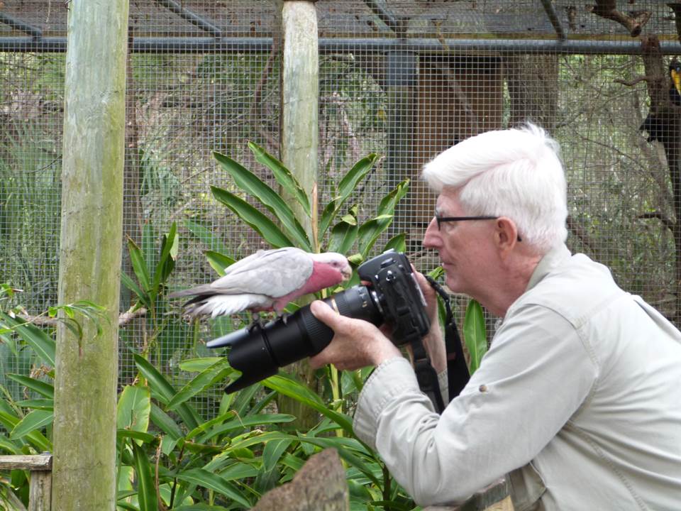 Slides From Birdwatching Lesson | Lee's Birdwatching Adventures Plus