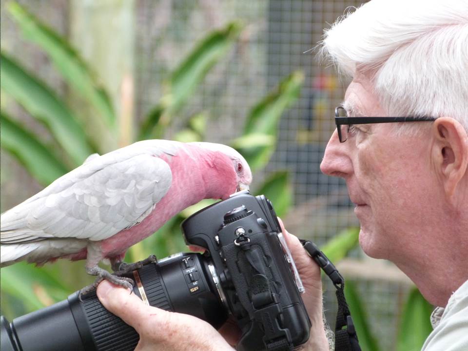Slides From Birdwatching Lesson | Lee's Birdwatching Adventures Plus