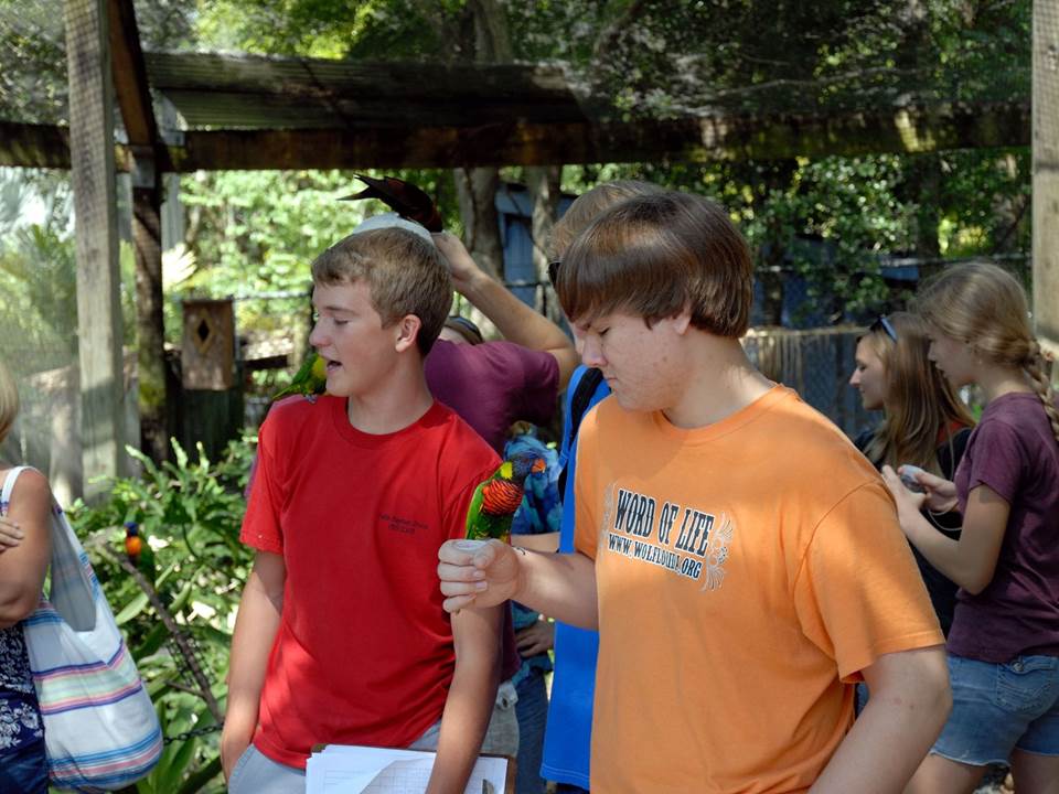 Slides From Birdwatching Lesson | Lee's Birdwatching Adventures Plus