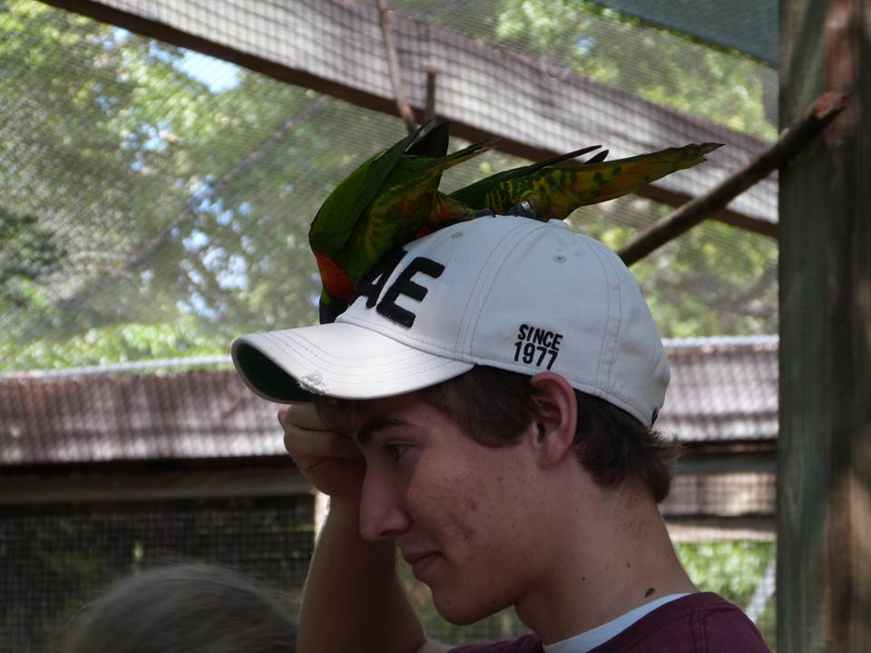 Slides From Birdwatching Lesson | Lee's Birdwatching Adventures Plus