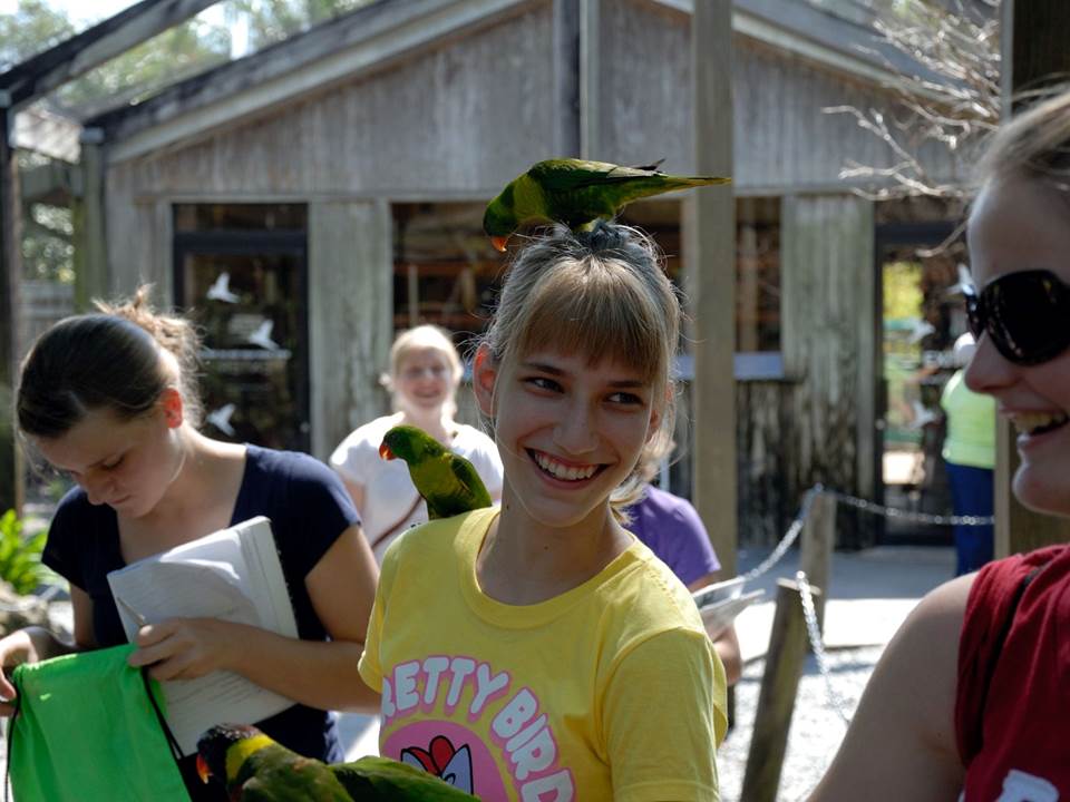 Slides From Birdwatching Lesson | Lee's Birdwatching Adventures Plus