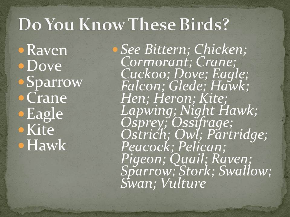 Slides From Birdwatching Lesson | Lee's Birdwatching Adventures Plus