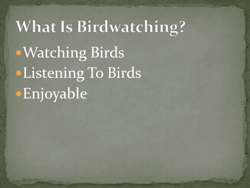 Slides From Birdwatching Lesson | Lee's Birdwatching Adventures Plus