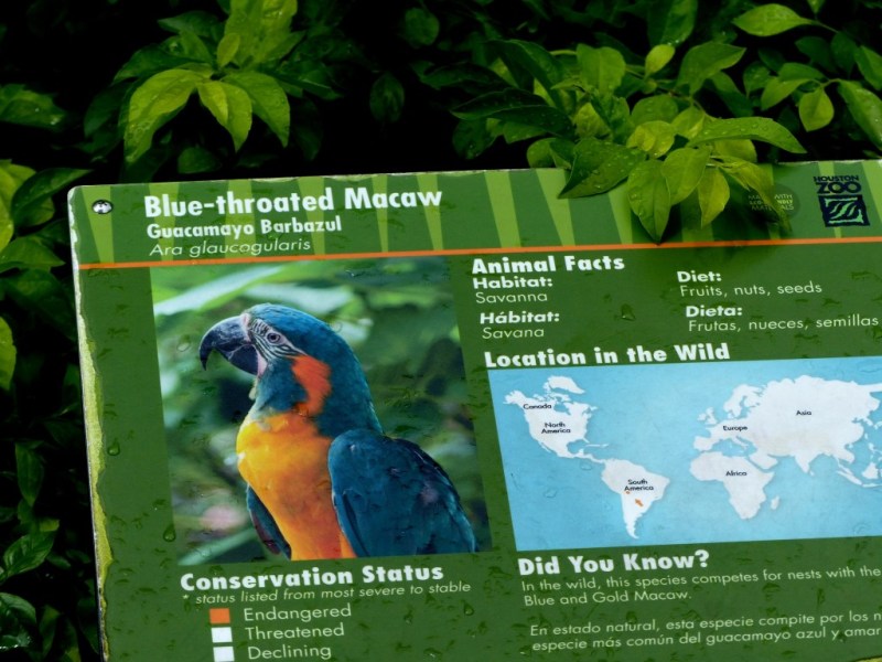 Houston Zoo – Vacation – Part 2 | Lee's Birdwatching Adventures Plus