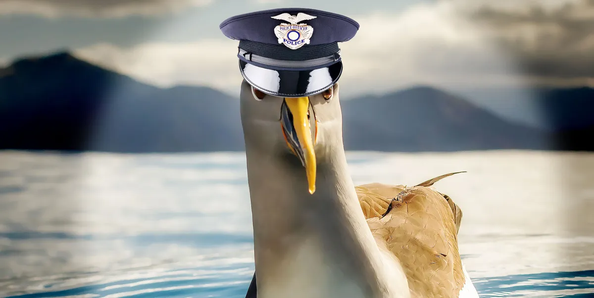 Albatrosses and Chickens: Odd Examples of Avian Self-Defense | Lee's ...