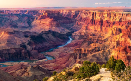 Birds of Grand Canyon, Part 1: Introduction | Lee's Birdwatching ...